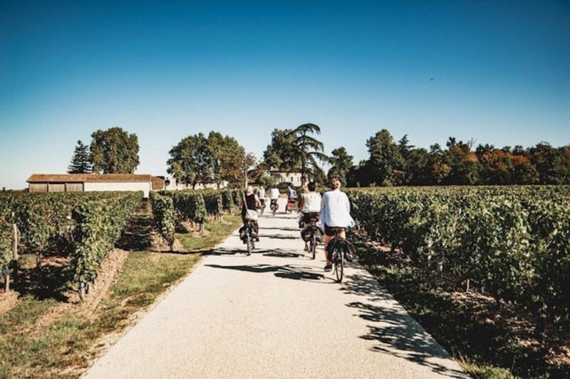 From Saint-Emilion : Half Day Electric Bike Tour - An In-Depth Look at the Saint-Emilion Electric Bike Tour