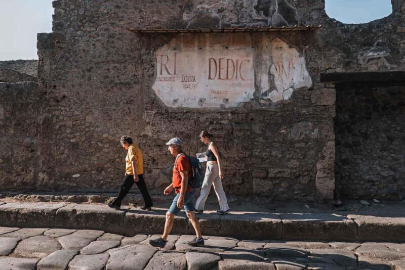 From Salerno: Pompeii Guided Walking Tour with Ticket - Key Points  