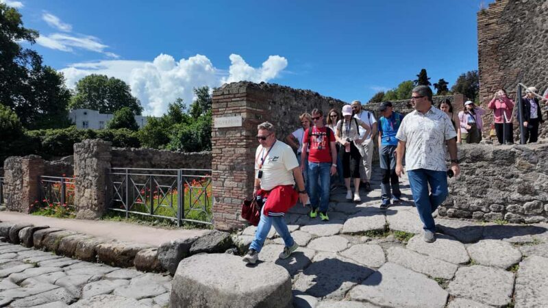From Salerno: Pompeii Guided Walking Tour with Ticket - Practical Aspects and Tips