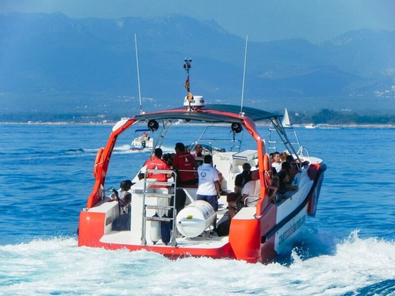 From Salou/Cambrils: Speedboat Tour - Key Points