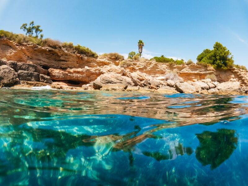 From Salou/Cambrils: Speedboat Tour - The Value for Money