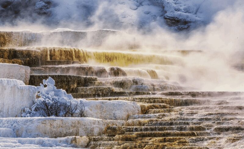 From Salt Lake City: Yellowstone & Grand Teton 5-Day Tour - FAQ