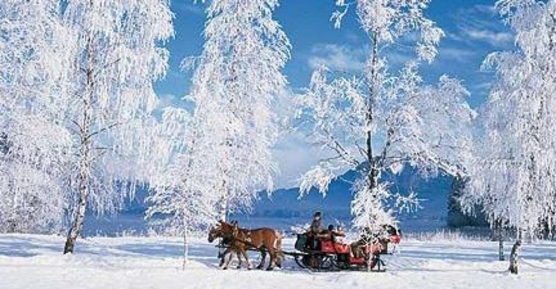 From Salzburg Romantic Carriage Ride through the Countryside - Authentic Experiences and Highlights