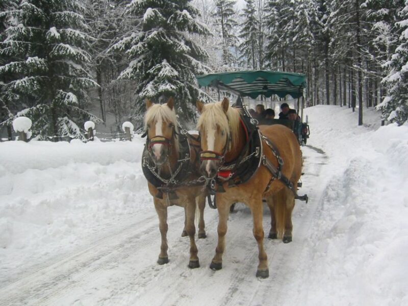From Salzburg Romantic Carriage Ride through the Countryside - Final Thoughts