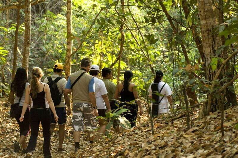 From San Cristóbal: Lacandona Jungle 3 Days Tour - Who This Tour Is Best For