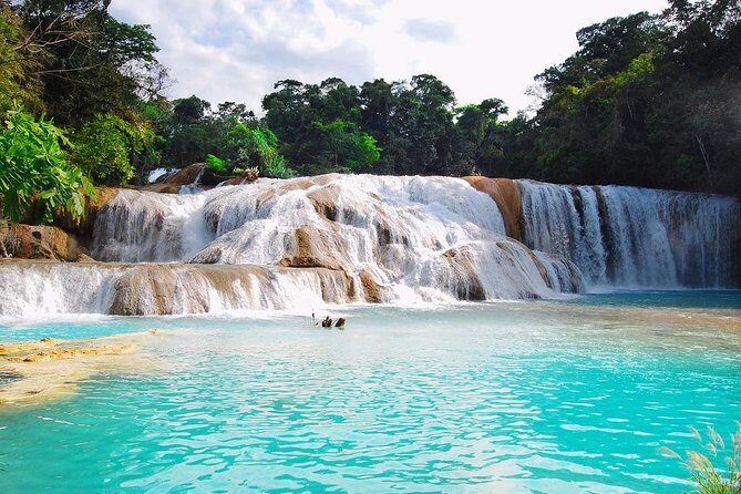From San Cristobal Tour to Agua Azul, Misol Ha and Palenque - Diving Into the Itinerary: What You Can Expect