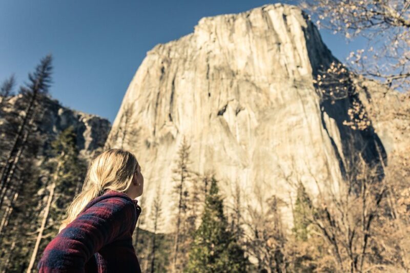 From San Francisco: 3-Day Yosemite Tour Without Hotel - Authentic Insights from Past Travelers