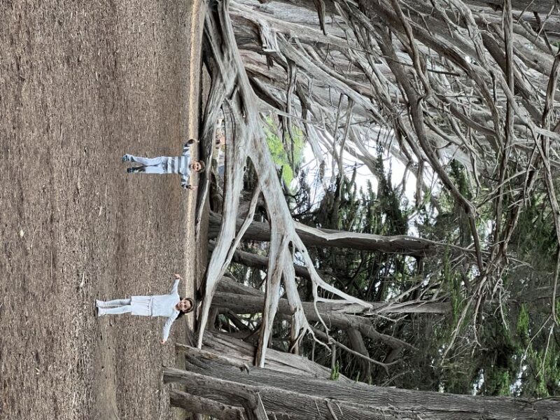 From San Francisco: Carmel, Monterey & Big Sur Private Tour - Final Thoughts: Is This Tour Worth It?