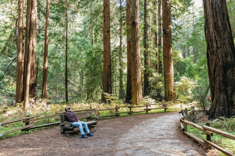 From San Francisco: Guided Muir Woods Tour - Frequently Asked Questions