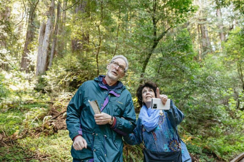 From San Francisco: Guided Muir Woods Tour - About This Tour
