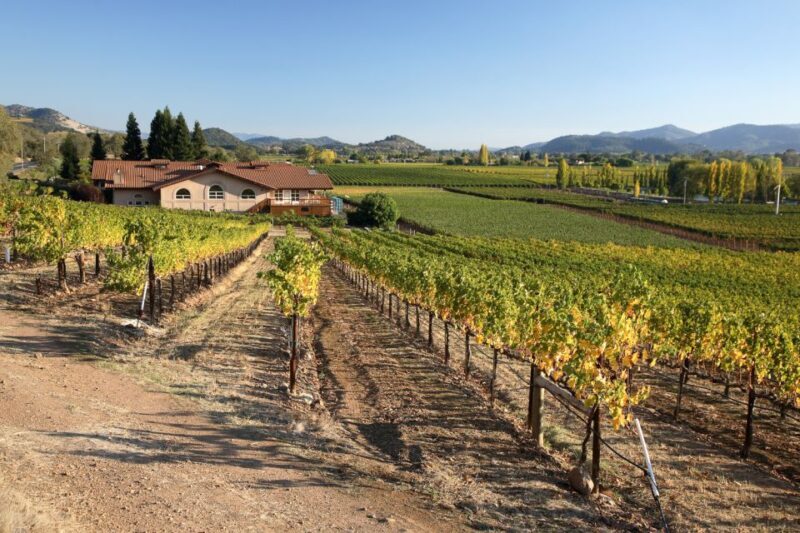 From San Francisco: Napa Valley Private Tour - The Experience in Detail