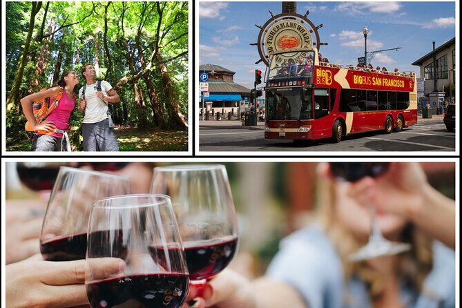 From San Francisco: Wine Tour, Redwoods, and Hop-on Hop-off Tour - Key Points