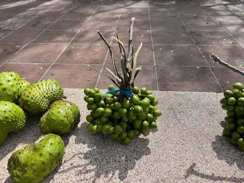 From San Juan: Full-Day Cultural Road Trip to Ponce - Who Is This Tour Best For?