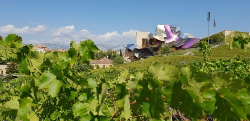 From San Sebastian/Bilbao/Vitoria: La Rioja Wineries Tour - Key Points
