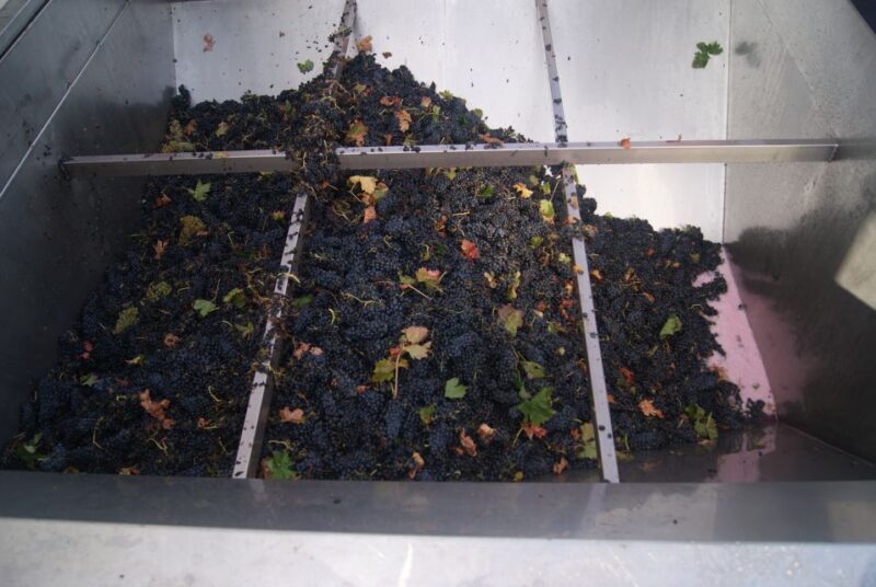 From San Sebastian/Bilbao/Vitoria: La Rioja Wineries Tour - Final Thoughts