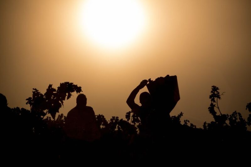 From San Sebastian/Bilbao/Vitoria: Rioja Wine Tour w/ Lunch - FAQs