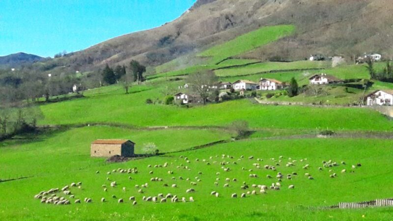 From San Sebastian: French-Basque Countryside Private Tour - Exploring the Itinerary in Detail
