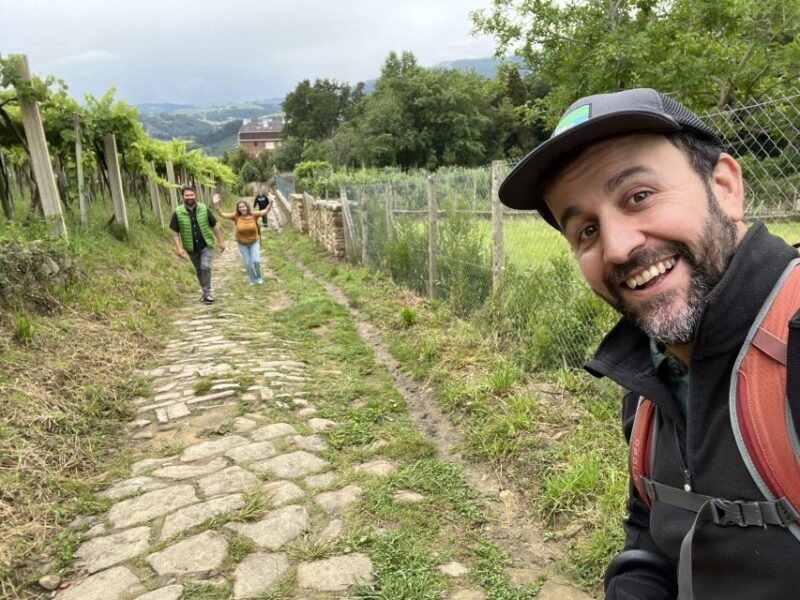 From San Sebastian: Guided Coastal Hike with Winery Tasting - A Closer Look at the Tour Experience