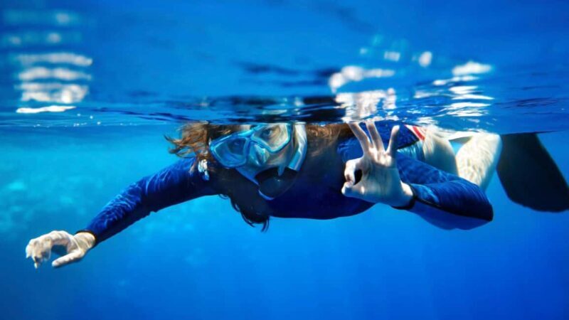 From San Teodoro: snorkeling in Tavolara and Molara - Key Points