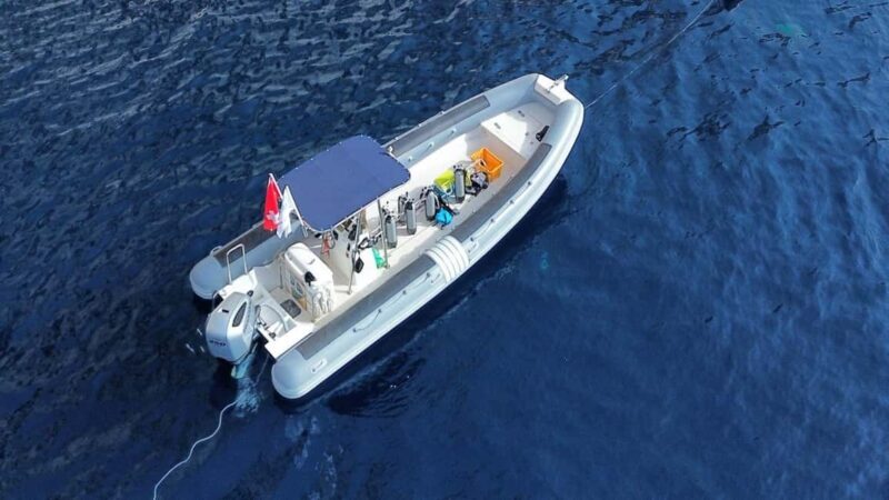 From San Teodoro: snorkeling in Tavolara and Molara - Final Thoughts: Who Should Book This Tour?