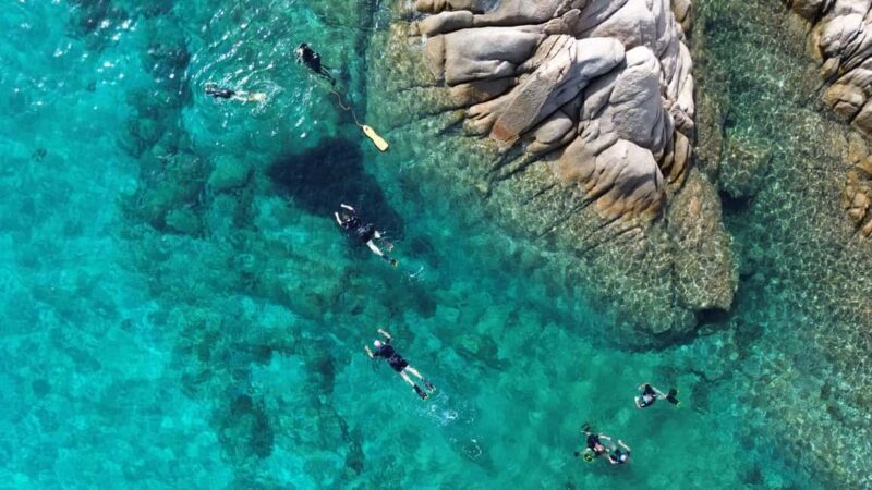 From San Teodoro: snorkeling in Tavolara and Molara - Wrapping Up: Why This Is a Great Choice