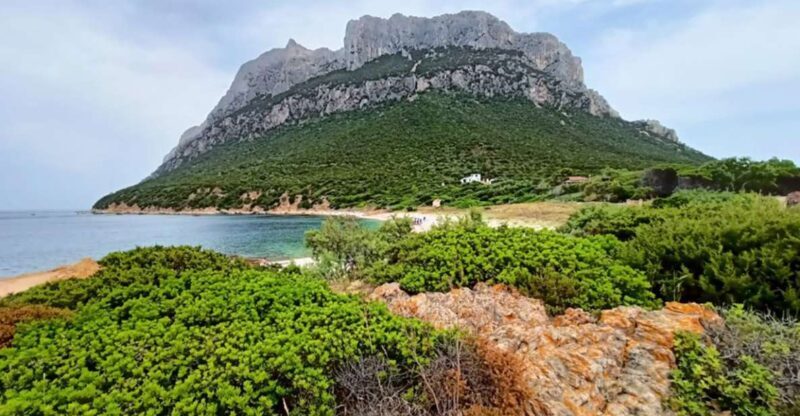 From San Teodoro: Tavolara Archipelago Dinghy Mini Tour - Who Will Love This Tour?