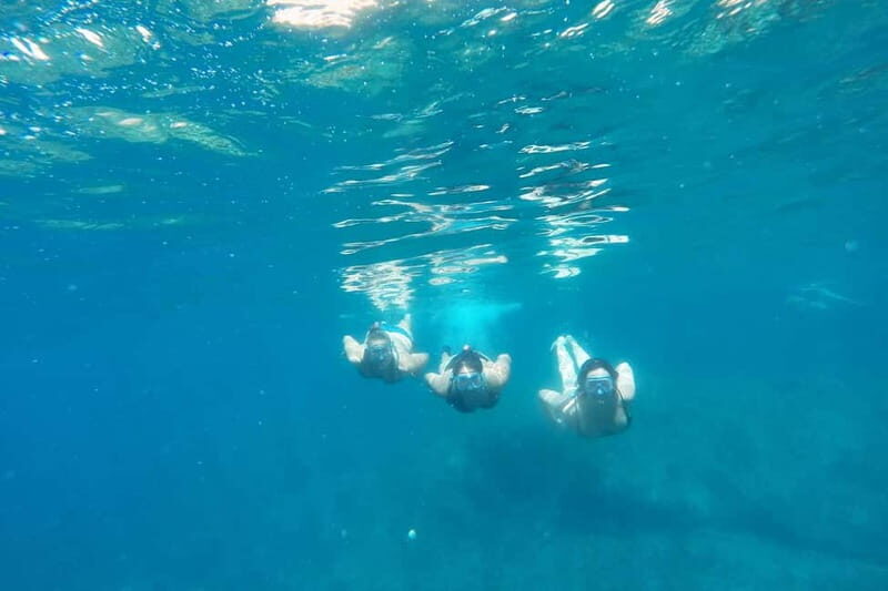 From Sant Feliu de Guíxols: Kayak and Snorkel in Costa Brava - FAQ