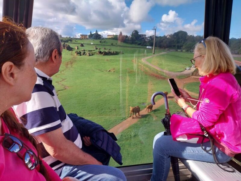 From Santander: Cabarceno Natural Park Half-Day Trip - Key Points