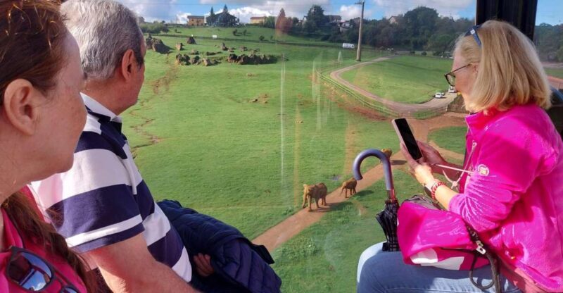 From Santander: Cabarceno Natural Park Half-Day Trip - Introduction: Why This Tour Might Be Your Next Favorite Half-Day