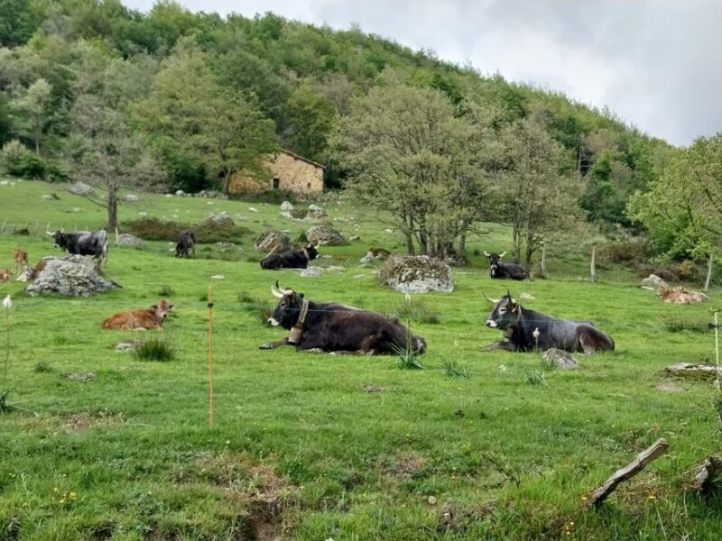 from Santander: Fascinating Saint Sebastian of Garabandal - FAQs