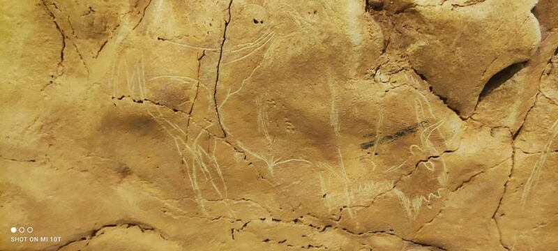 From Santander: Santillana del Mar & Altamira Museum Tour - Discovering Santillana del Mar: A Medieval Gem