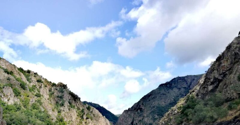 From Santiago: Excursion to Ribeira Sacra and Ourense - Key Points