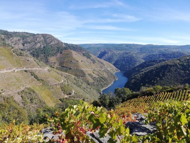 From Santiago: Excursion to Ribeira Sacra and Ourense - FAQ