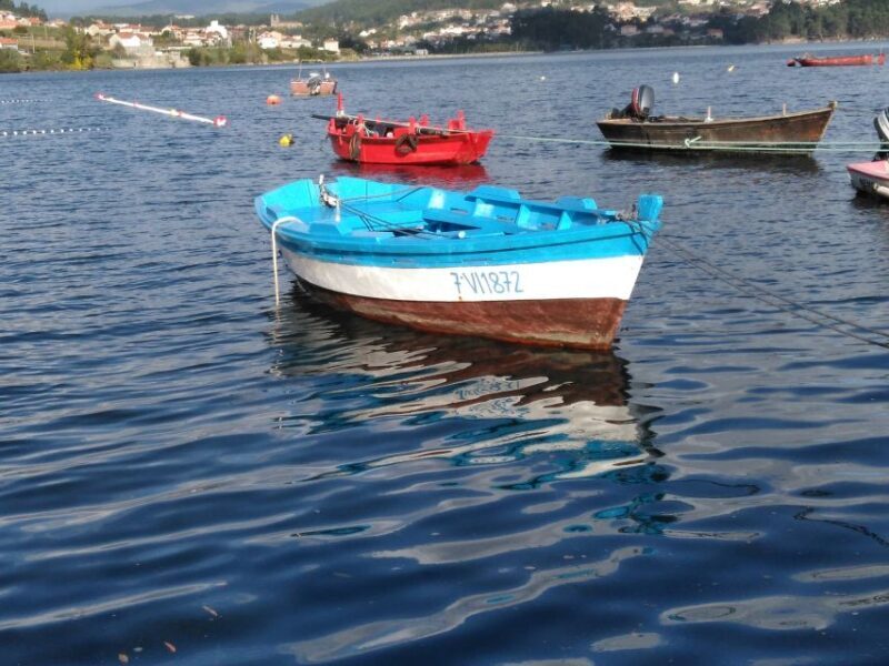 From Santiago: Tour Rias Baixas, Isla de Arousa y Combarro - Exploring Galicia’s Coast: An In-Depth Review