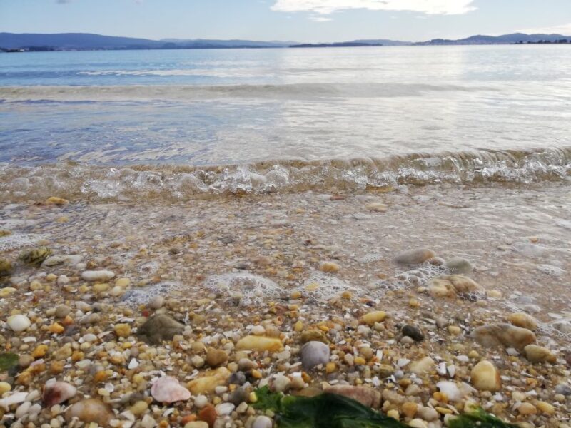 From Santiago: Tour Rias Baixas, Isla de Arousa y Combarro - The Sum Up