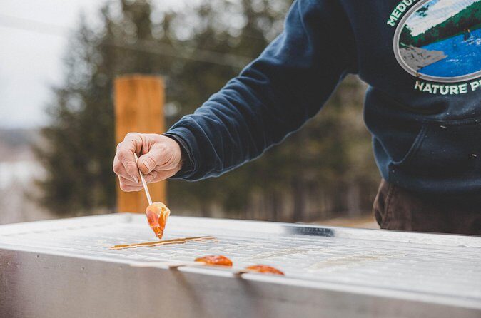 From Sap to Syrup: A Tasty Guided Maple Production Tour - Authentic Insights & Reviewer Feedback