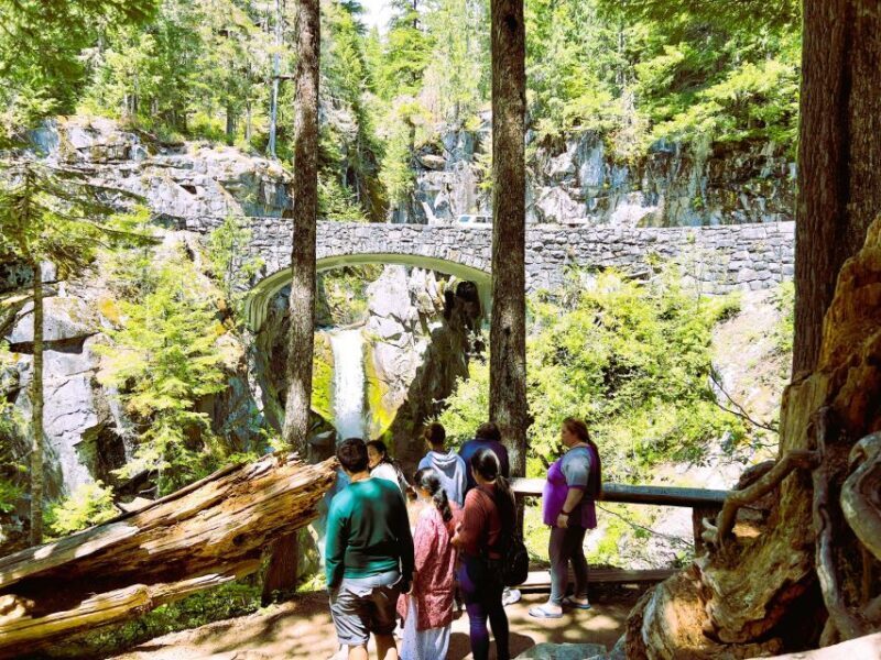 From Seattle: Customized Mount Rainier Tour - Key Points