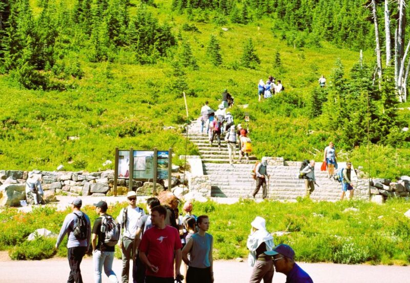 From Seattle: Customized Mount Rainier Tour - The Sum Up