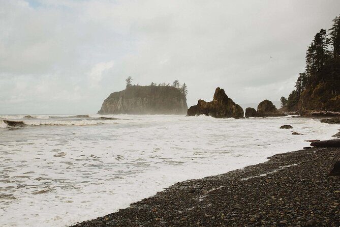 From Seattle Hoh rain forest and Olympic National Park Highlight - FAQ