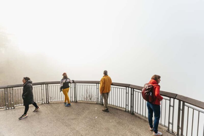 From Seattle: Visit Snoqualmie Falls and Hike to Twin Falls - Who Will Love This Tour?