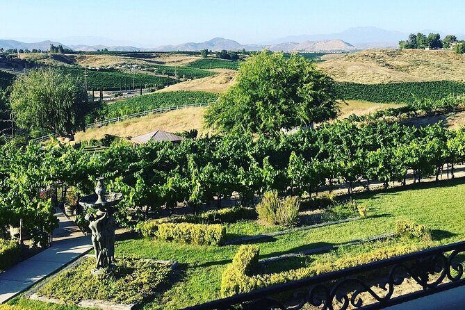 From Seattle Wine Tasting, Vineyards in Eastern WA - Final Thoughts: Is This Tour Worth It?