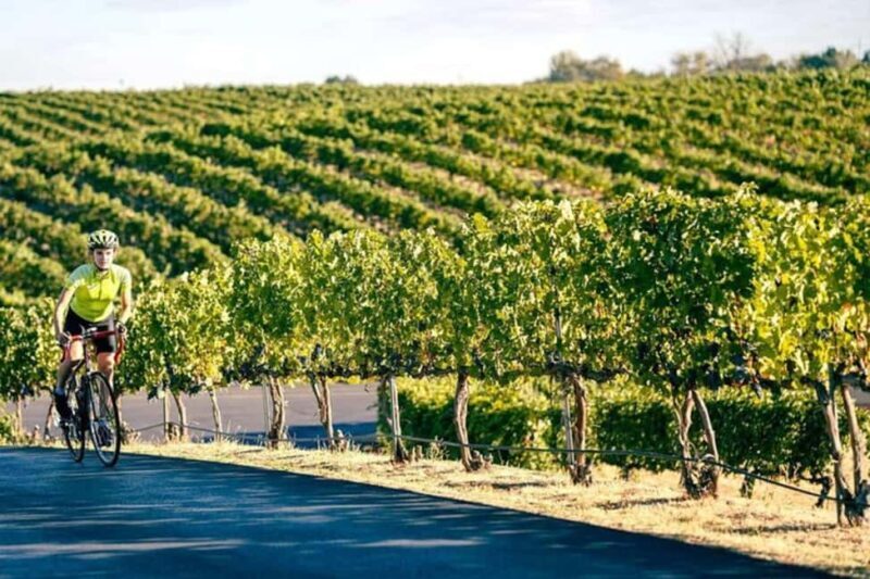 From Seattle - Wine Tasting, Vineyards in Eastern WA - Key Points