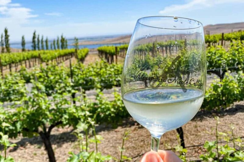 From Seattle - Wine Tasting, Vineyards in Eastern WA - A Scenic Journey into Washington’s Vineyards