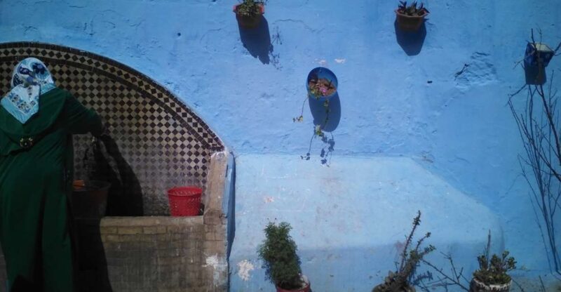 From Seville: 2-Day Trip to Tangier - Who Will Enjoy This Tour?