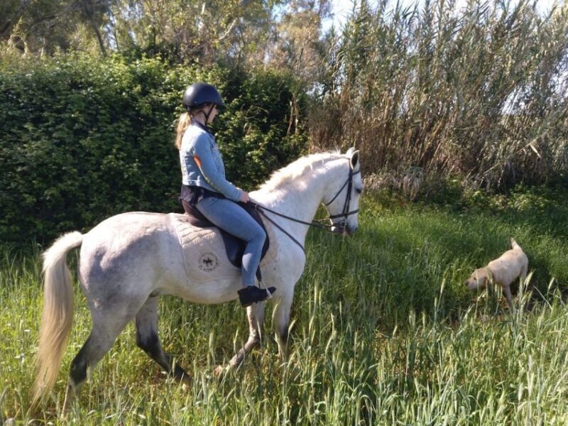 From Seville: Andalusian Horseback Ride - Practical Aspects: What to Know Before You Go