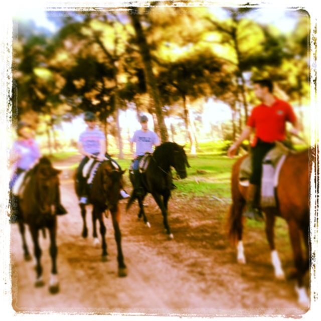 From Seville: Andalusian Horseback Ride - Additional Considerations