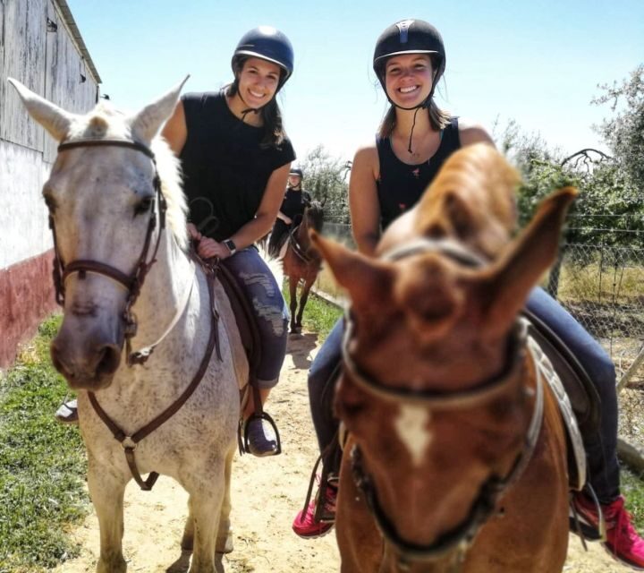 From Seville: Andalusian Horseback Ride - The Sum Up