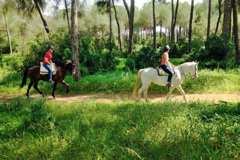 From Seville: Andalusian Horseback Ride - FAQ