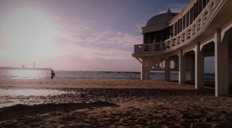 From Seville: Cadiz and Jerez de la Frontera Day Trip - Who Will Love This Tour?