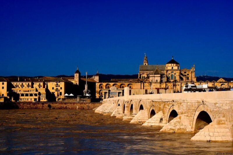 From Seville: Cordoba and Mosque Cathedral Guided Tour - The Sum Up: Who Will Love This Tour?